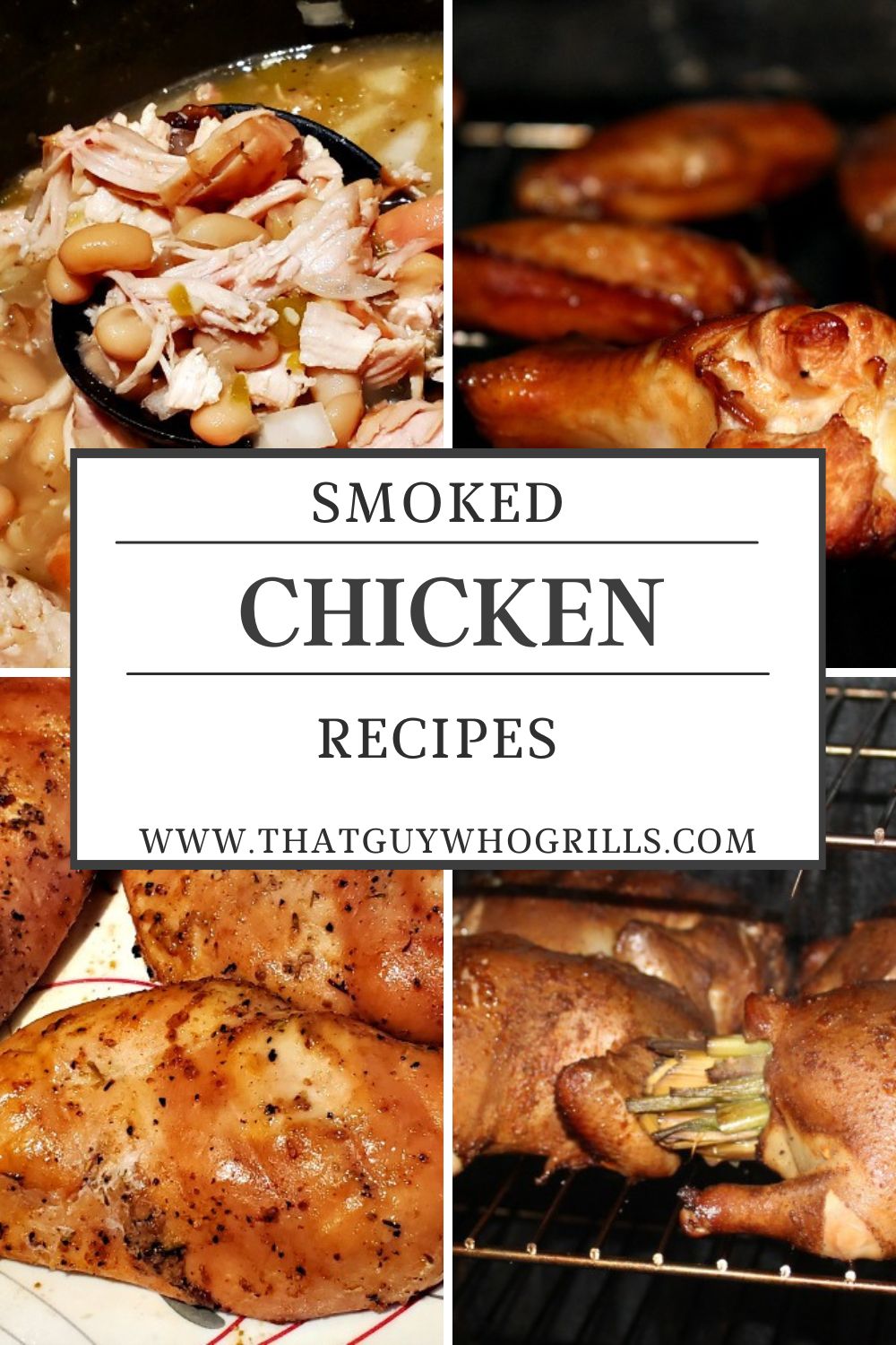 Delicious Smoked Chicken Recipes - That Guy Who Grills